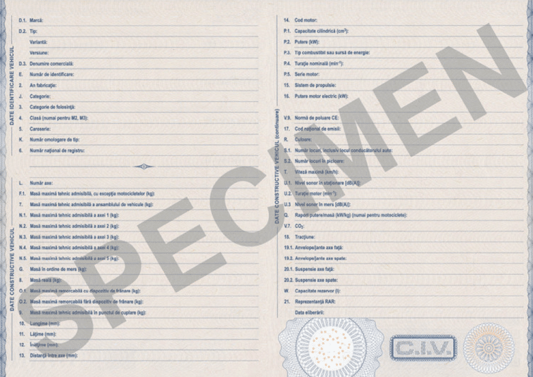 Intrebari frecvente Delta Speed Solutions